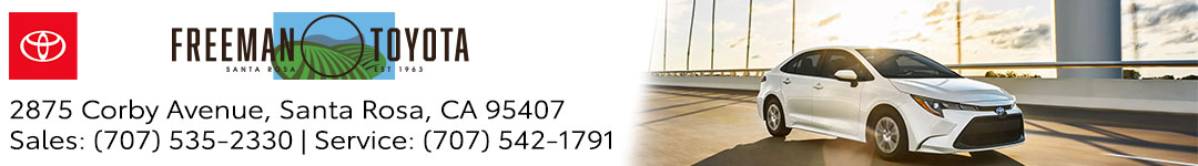 Freeman Lexus / Toyota